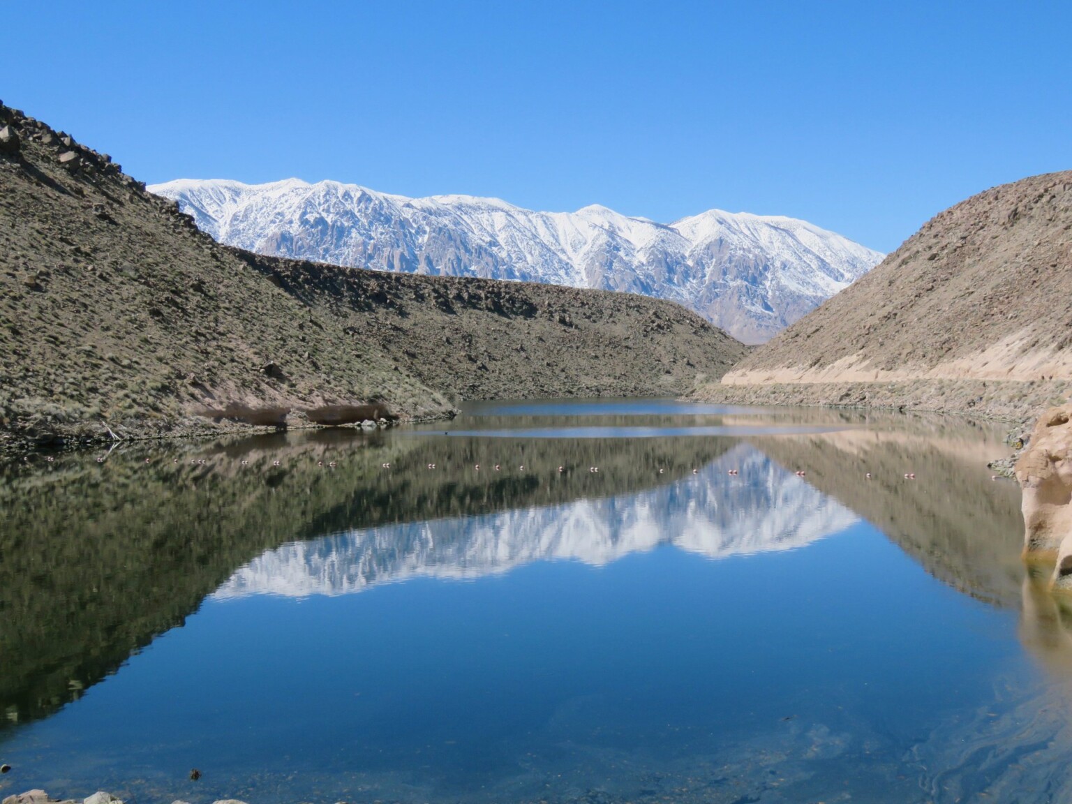 Super Spring Hikes around Bishop