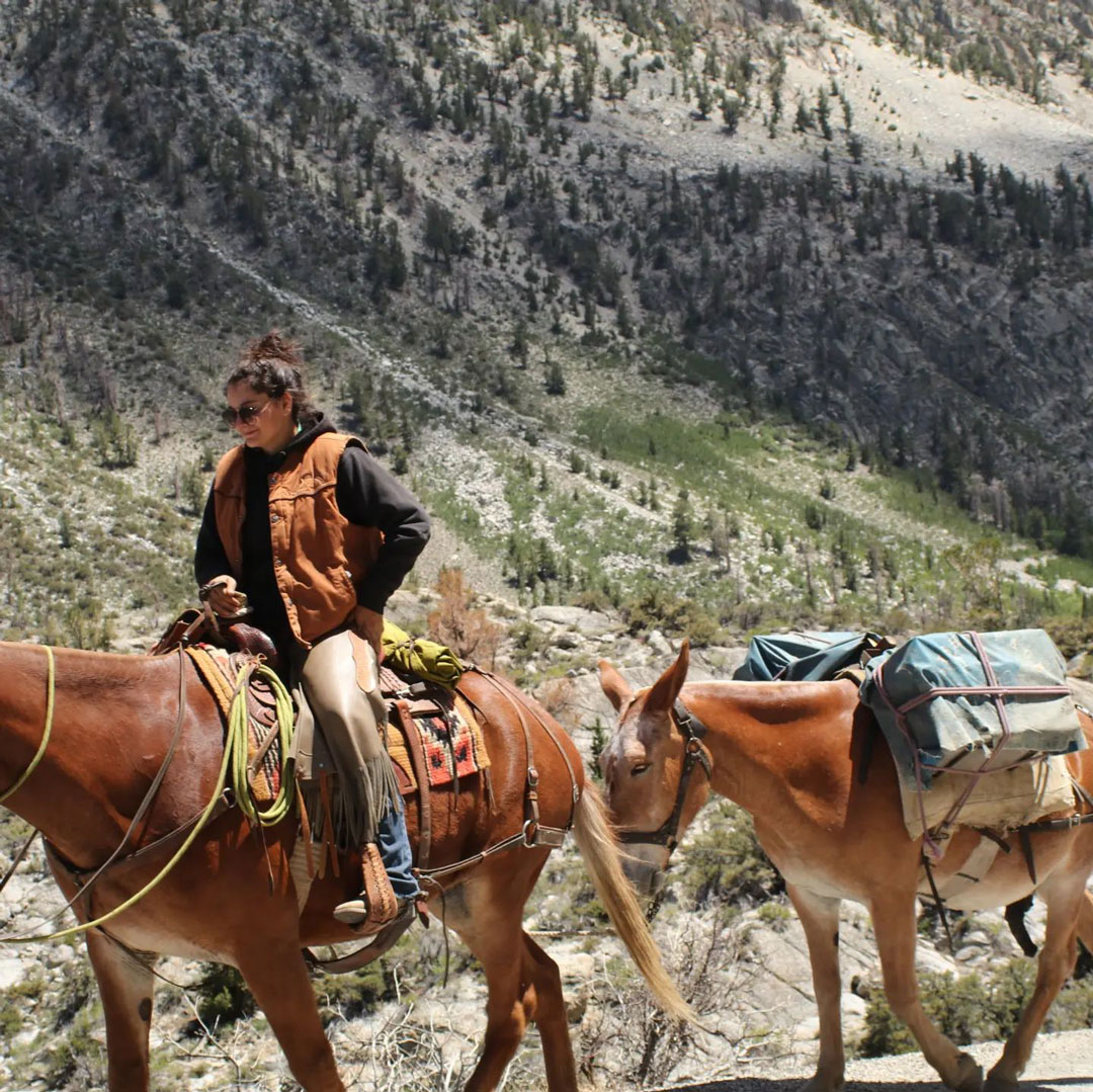 Horseback Riding & Packing - Visit Bishop