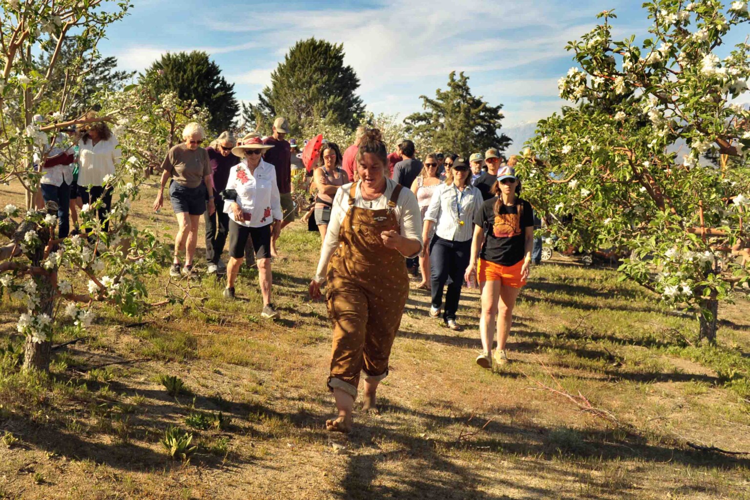 Food Grows in Bishop?!? Blue Heron Project and Farm to Crag