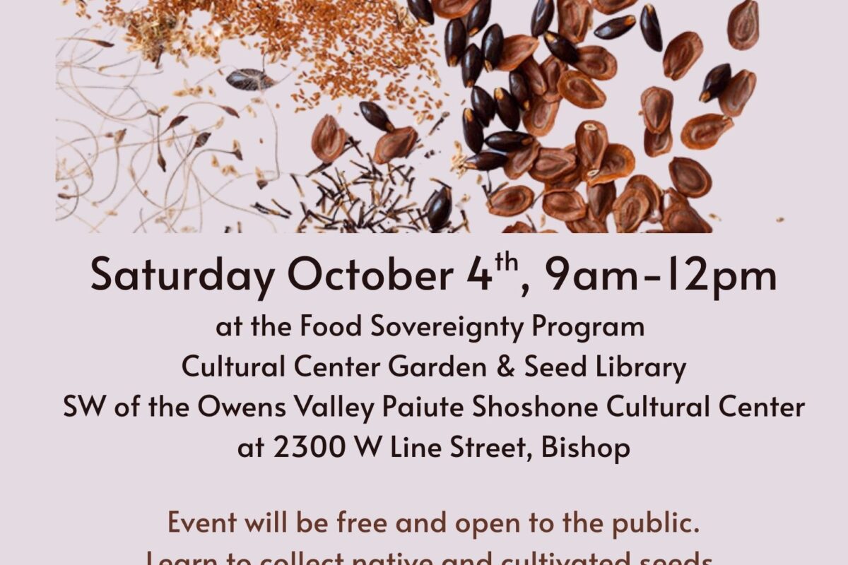 Visit Bishop - Small Town with a Big Backyard